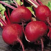 Grow -To-Stow Root Vegetables: My Favorite "Keepers" – Kevin Lee Jacobs