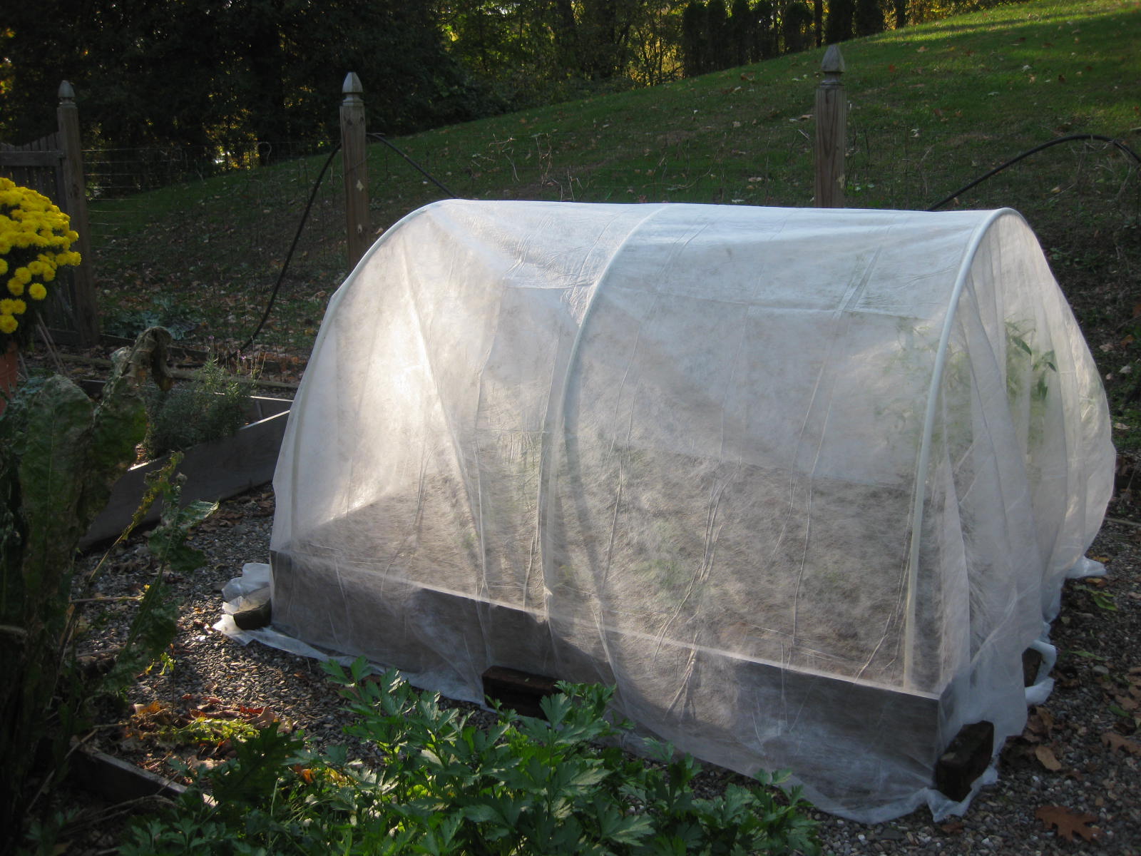 My 10-Minute Hoop-House – Kevin Lee Jacobs