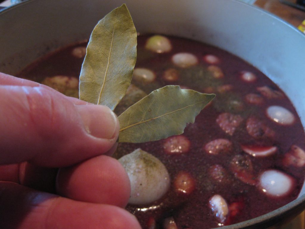 Purple Poulet: Chicken in Red Wine – Kevin Lee Jacobs