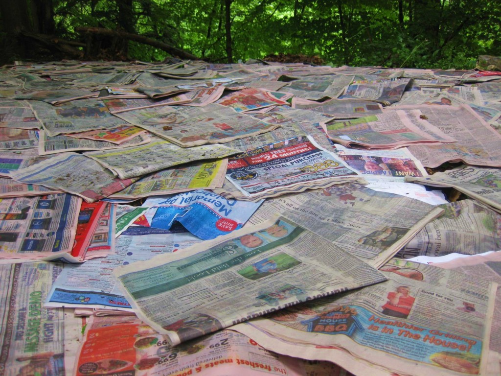 Newspaper Mulching – Kevin Lee Jacobs