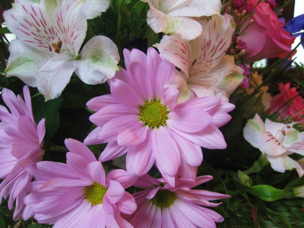 The Power of Flowers Indoors – Kevin Lee Jacobs