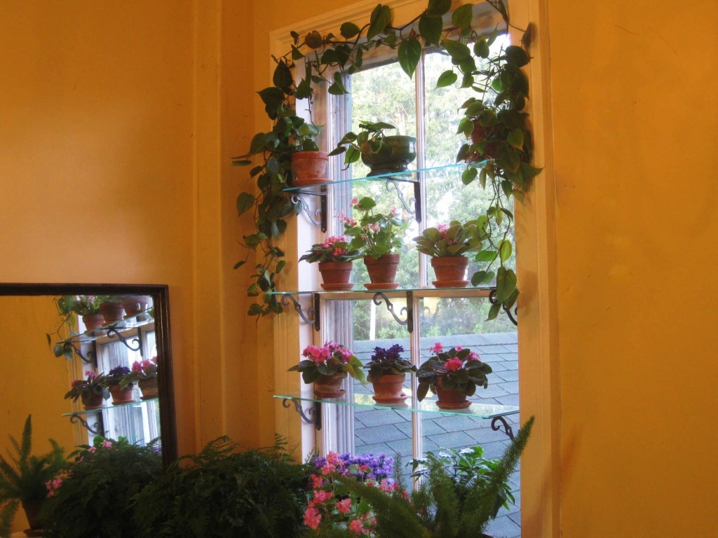 Design a Window Garden! – Kevin Lee Jacobs