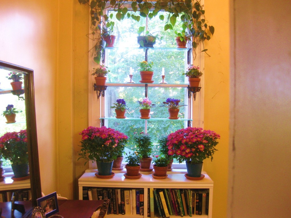 Design a Window Garden! – Kevin Lee Jacobs