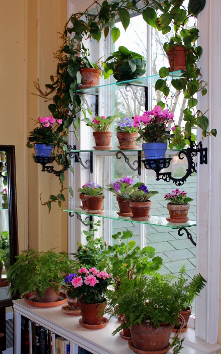 May 2020 Kitchen and Garden Chores – Kevin Lee Jacobs
