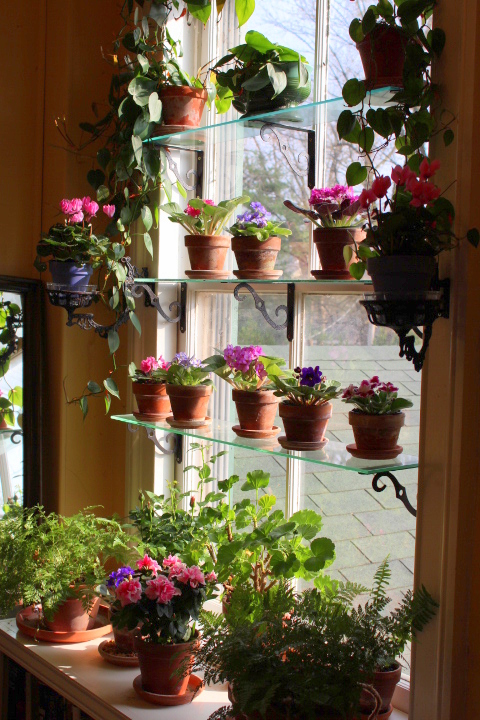 Window Garden, November 2012 – Kevin Lee Jacobs