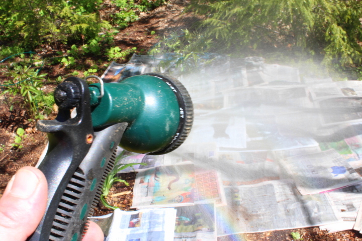 How I Smother Weeds with Newspaper – Kevin Lee Jacobs