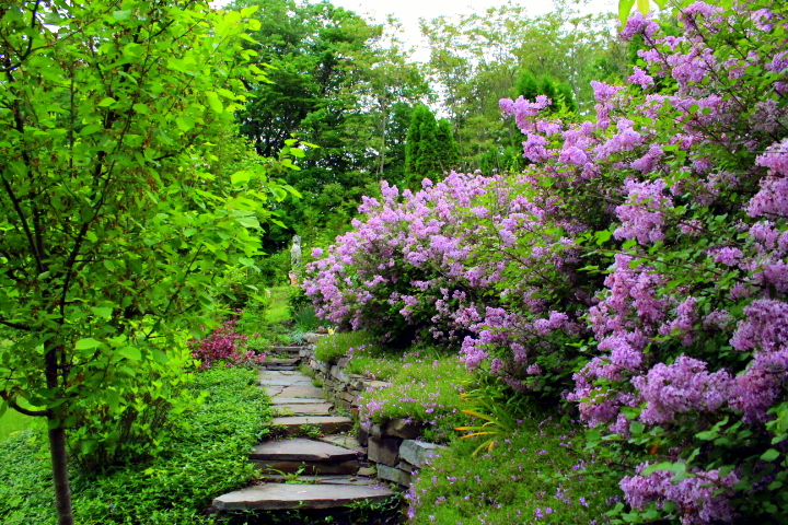 A Late-Spring Garden Tour – Kevin Lee Jacobs