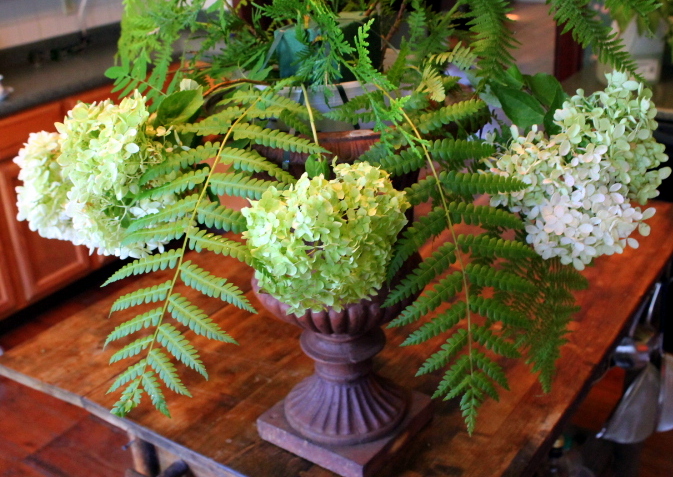Victorian Beauty from Common Flowers – Kevin Lee Jacobs