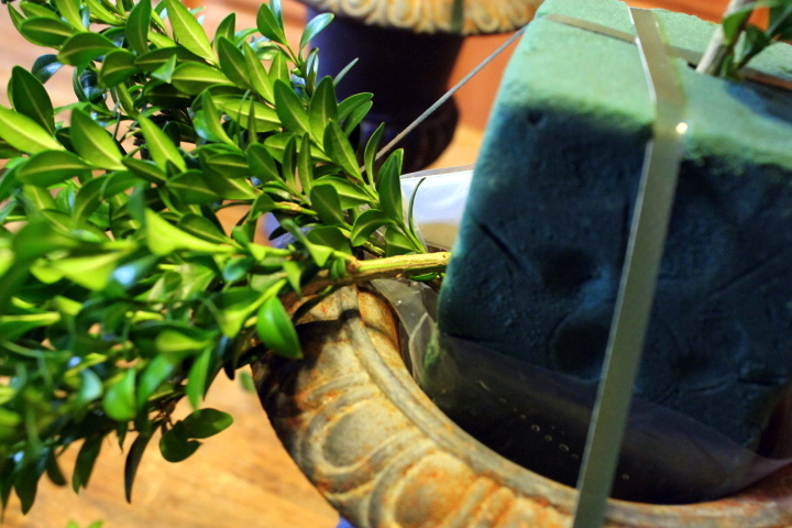 How to Make a Boxwood Tree – Kevin Lee Jacobs