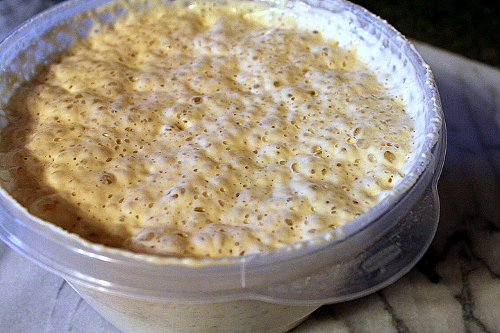 Crusty Sourdough Boule! – Kevin Lee Jacobs