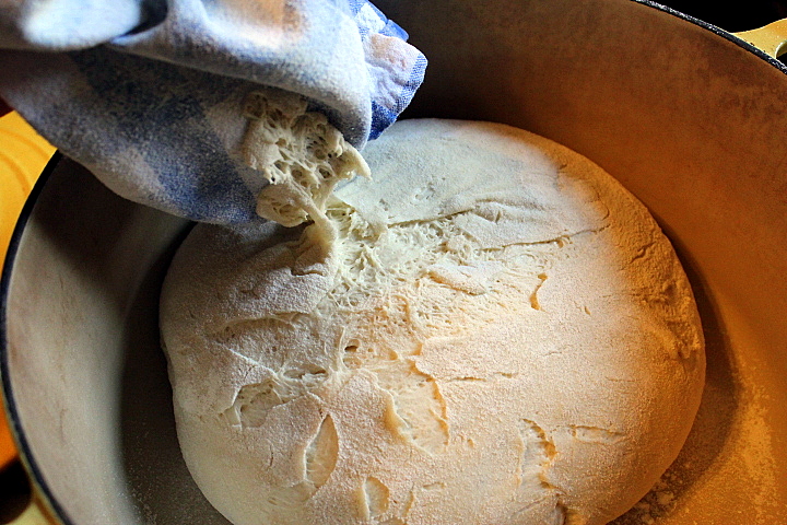 Crusty Sourdough Boule! – Kevin Lee Jacobs