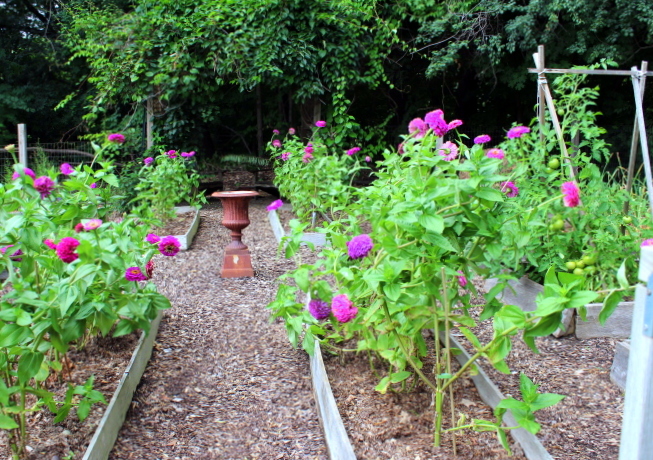 A Short Walk in the Kitchen Garden – Kevin Lee Jacobs