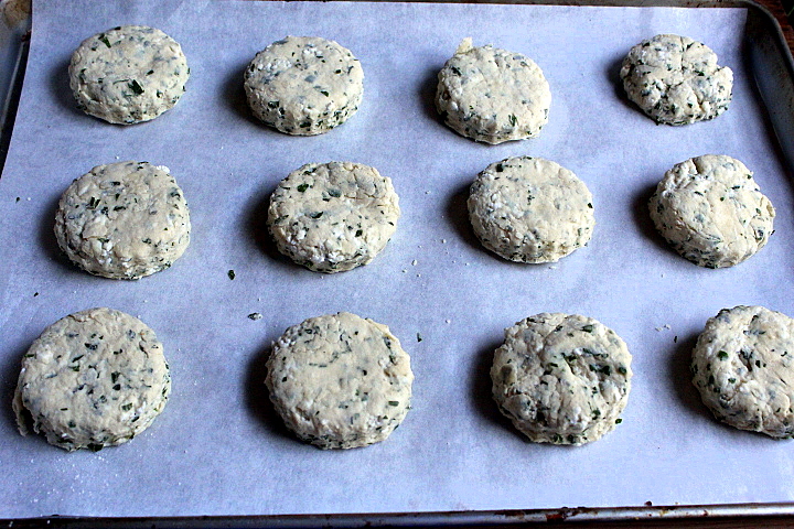 Herbed Cottage Cheese Biscuits – Kevin Lee Jacobs