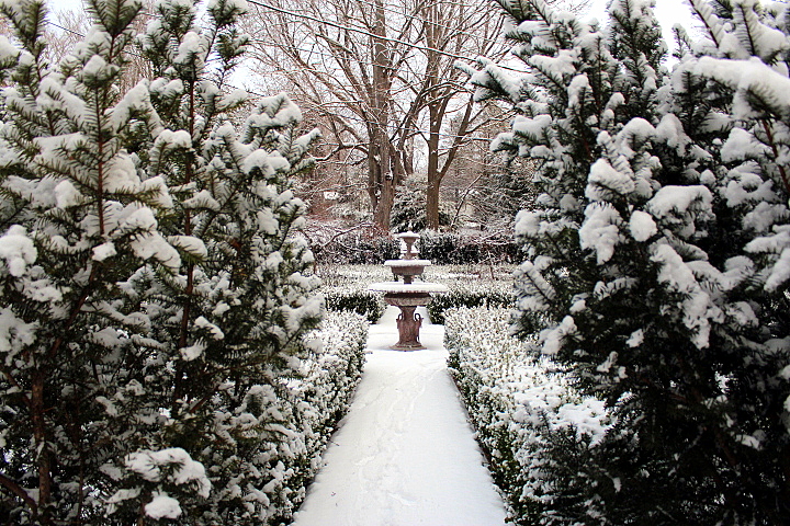 My Gardens in Snow – Kevin Lee Jacobs