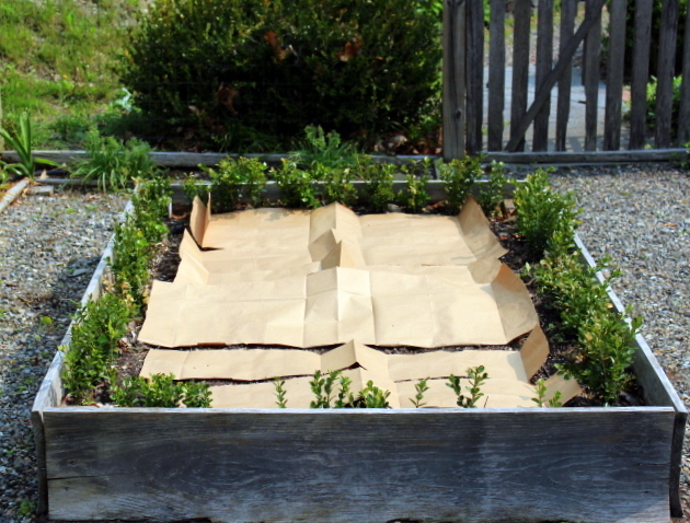 No Weeds: How I Plant Seeds and Seedlings Through Paper – Kevin Lee Jacobs