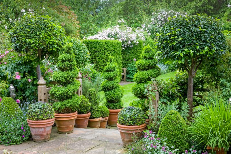 Kevin Lee Jacobs – Page 30 of 127 – Gardening, Recipes & Home Décor Tips