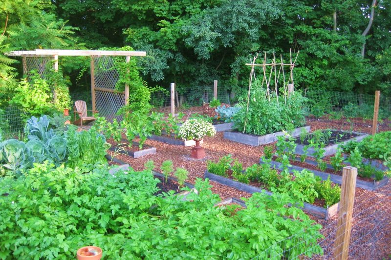 Kevin Lee Jacobs – Page 26 of 130 – Gardening, Recipes & Home Décor Tips