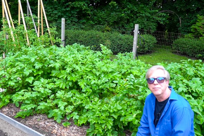 Kevin Lee Jacobs – Page 26 of 131 – Gardening, Recipes & Home Décor Tips