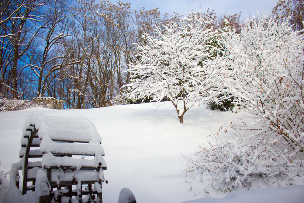 December Garden Tour – Kevin Lee Jacobs