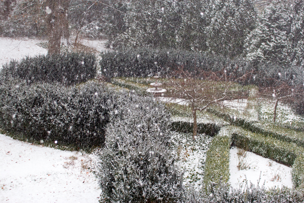 December Garden Tour – Kevin Lee Jacobs