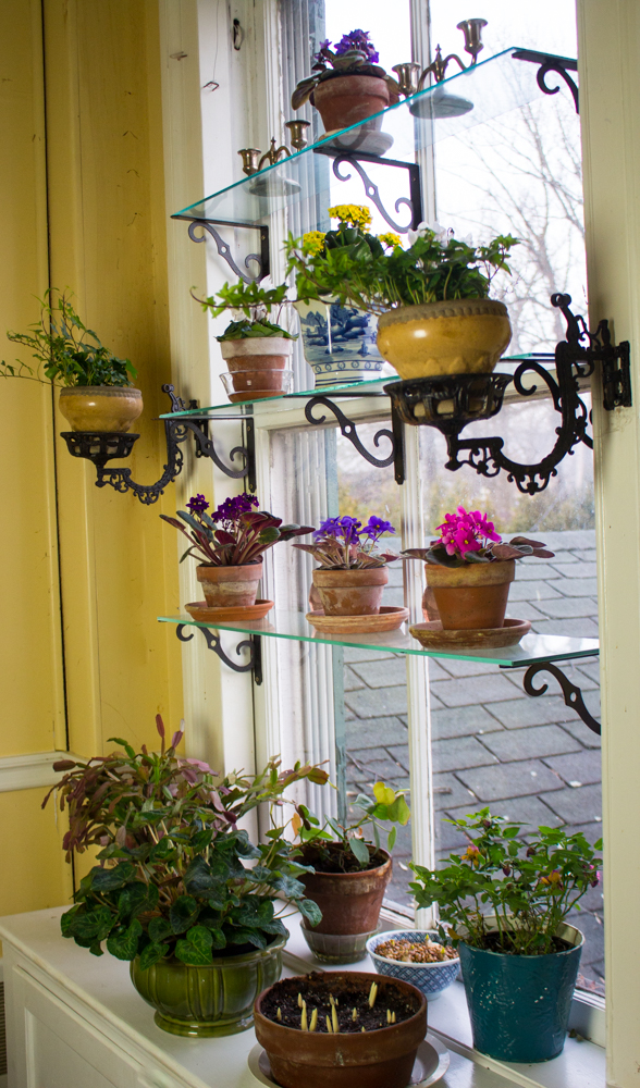 December Window Garden 2019 – Kevin Lee Jacobs