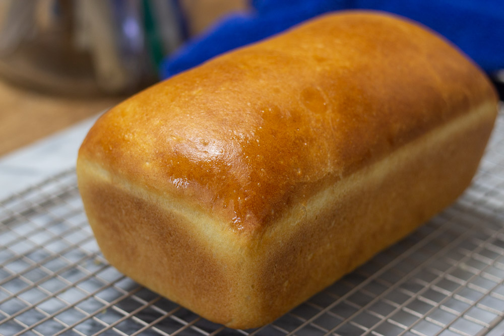 How To Proof And Store Yeast Kevin Lee Jacobs how-to-proof-and-store-yeast-kevin-lee-jacobs