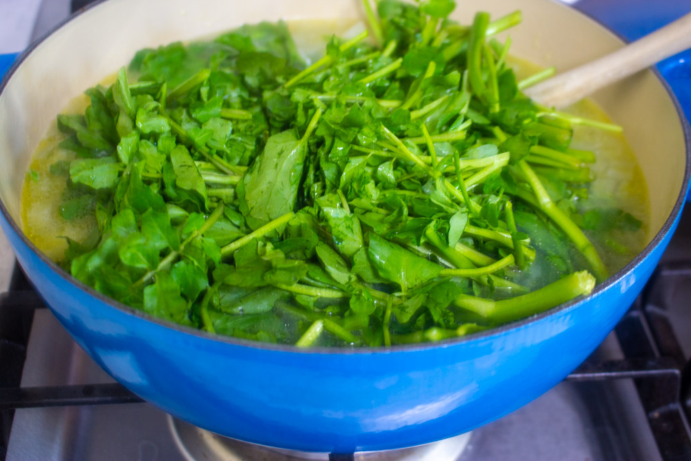 Watercress Soup Recipe – Kevin Lee Jacobs