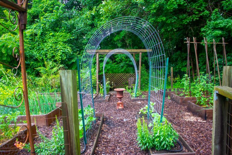 Kevin Lee Jacobs – Page 6 of 126 – Gardening, Recipes & Home Décor Tips